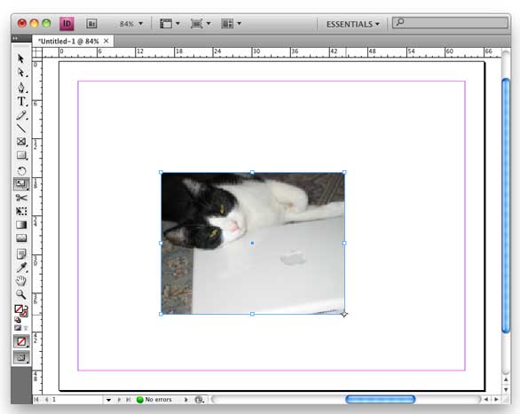 How To Resize Image In InDesign Effortlessly IStar Tips